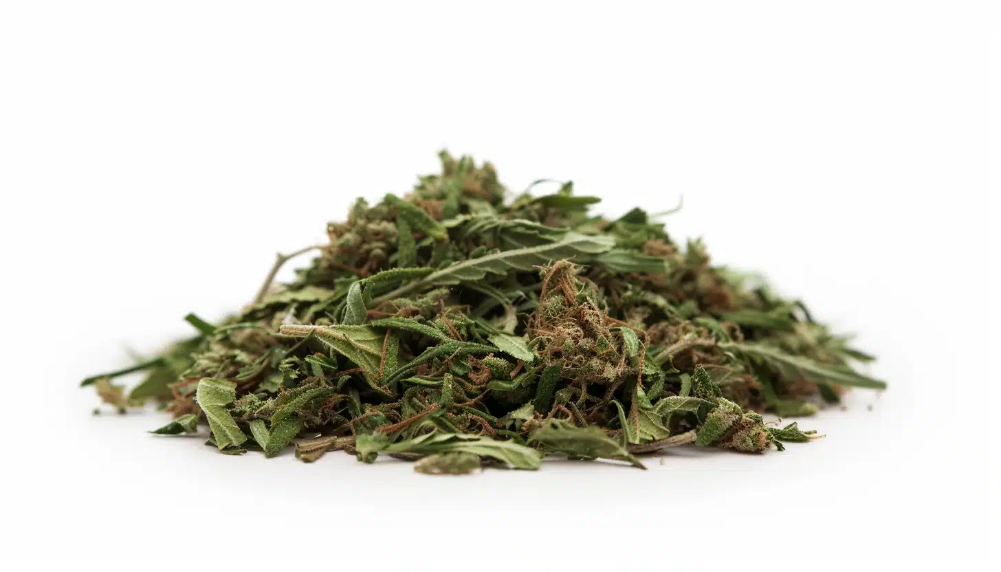 Cannabis Glossary of Weed Slang Terms | Ultimate Cannabis & Marijuana Guide for Enthusiasts